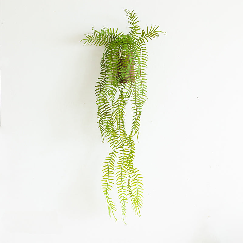 French Moss Wall Hanging Plant Decoration – buckmen.com