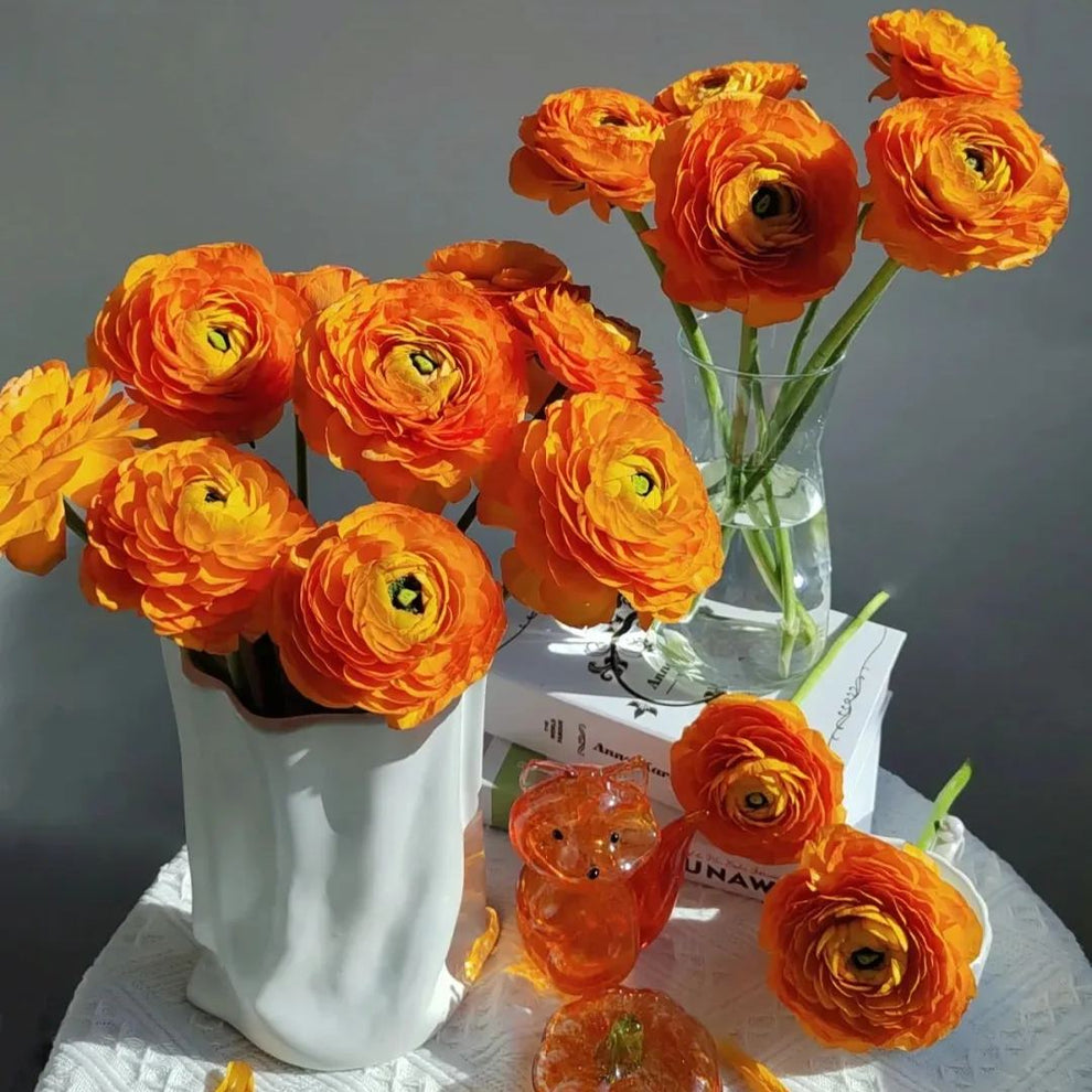 🌸Multicolor Ranunculus Asiaticus Bulbs – buckmen.com