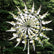 Magic Metal Kinetic Sculpture – buckmen.com